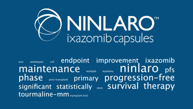 Ninlaro (ixazomib) Phase 3 TOURMALINE-MM3 study met its primary ...